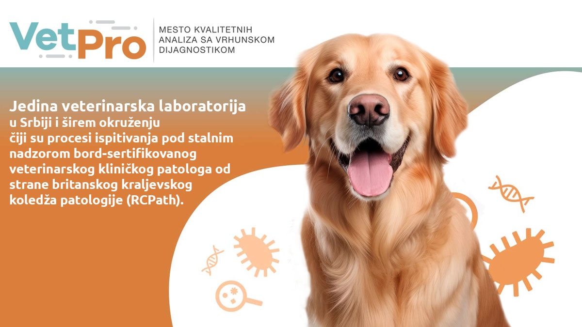 Digitalna Telecitologija u VetPro laboratoriji - VetPro - Veterinarska ...