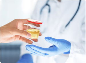 VetPro - Veterinarska Laboratorija